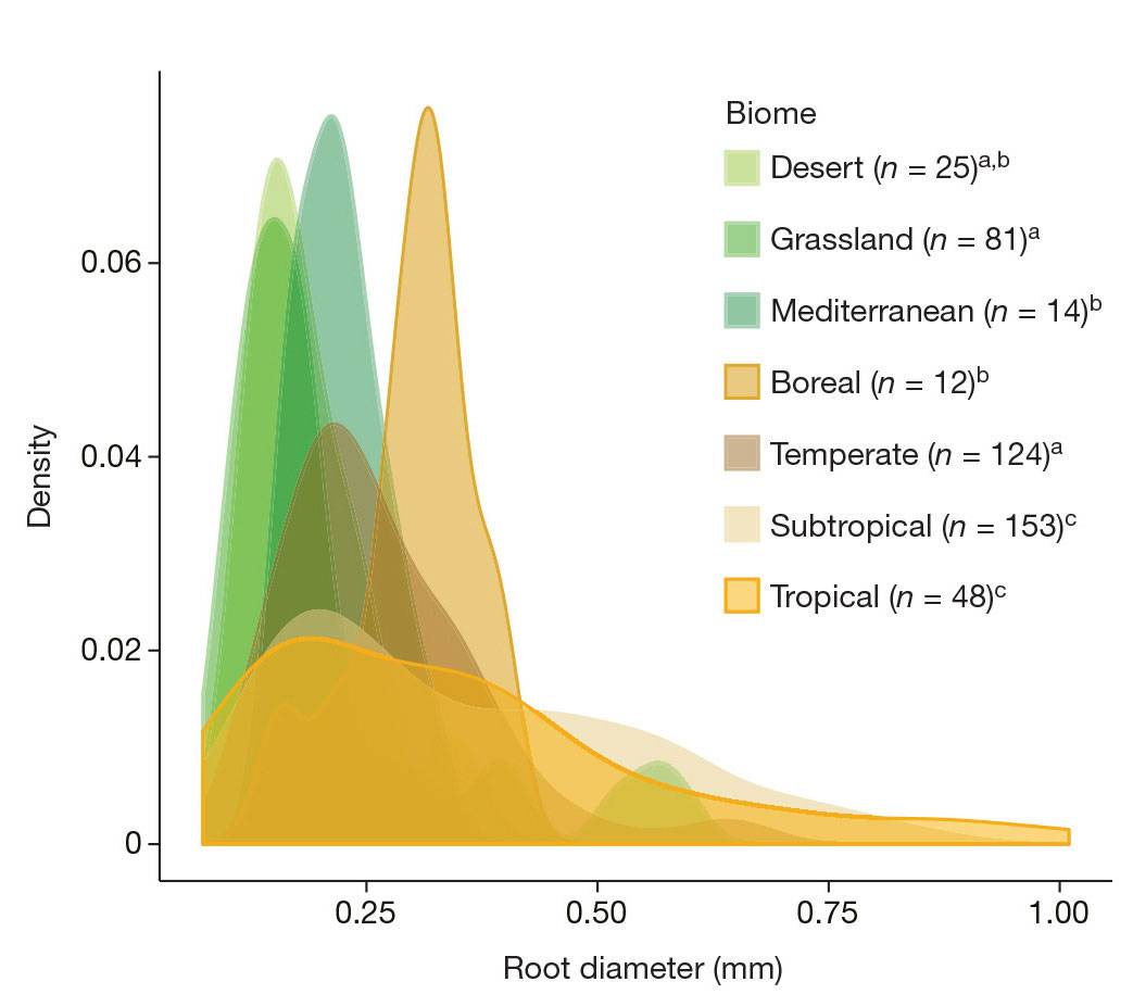 Theory suggests root efficiency, independence drove global spread of flora